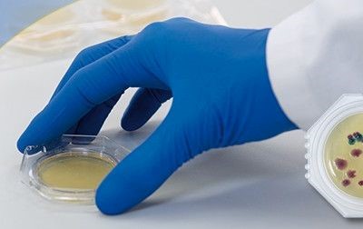 Rapid Microbial Swab